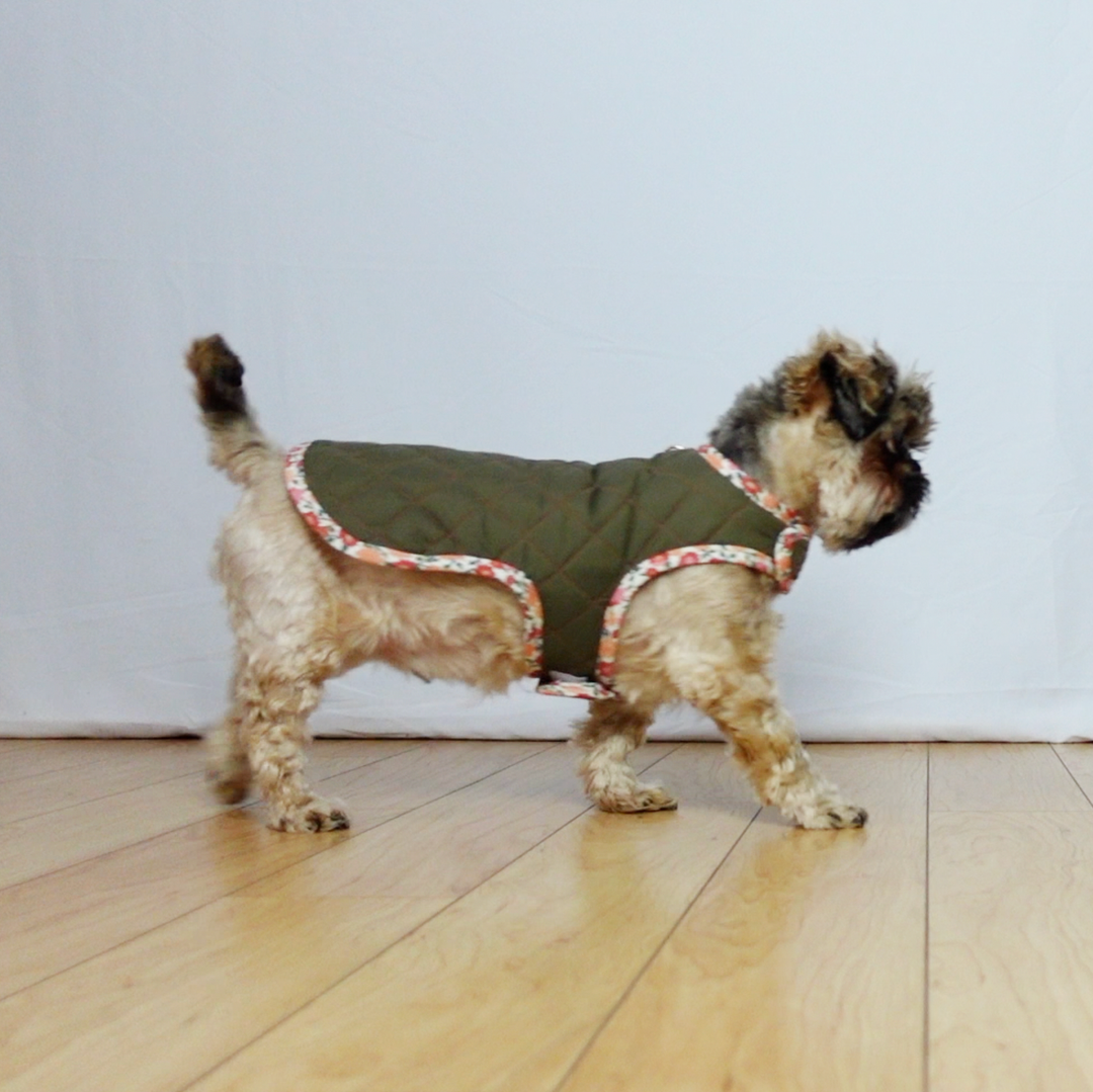 Dog Coat Pattern - PDF Sewing Pattern – Pattern Scout Studio